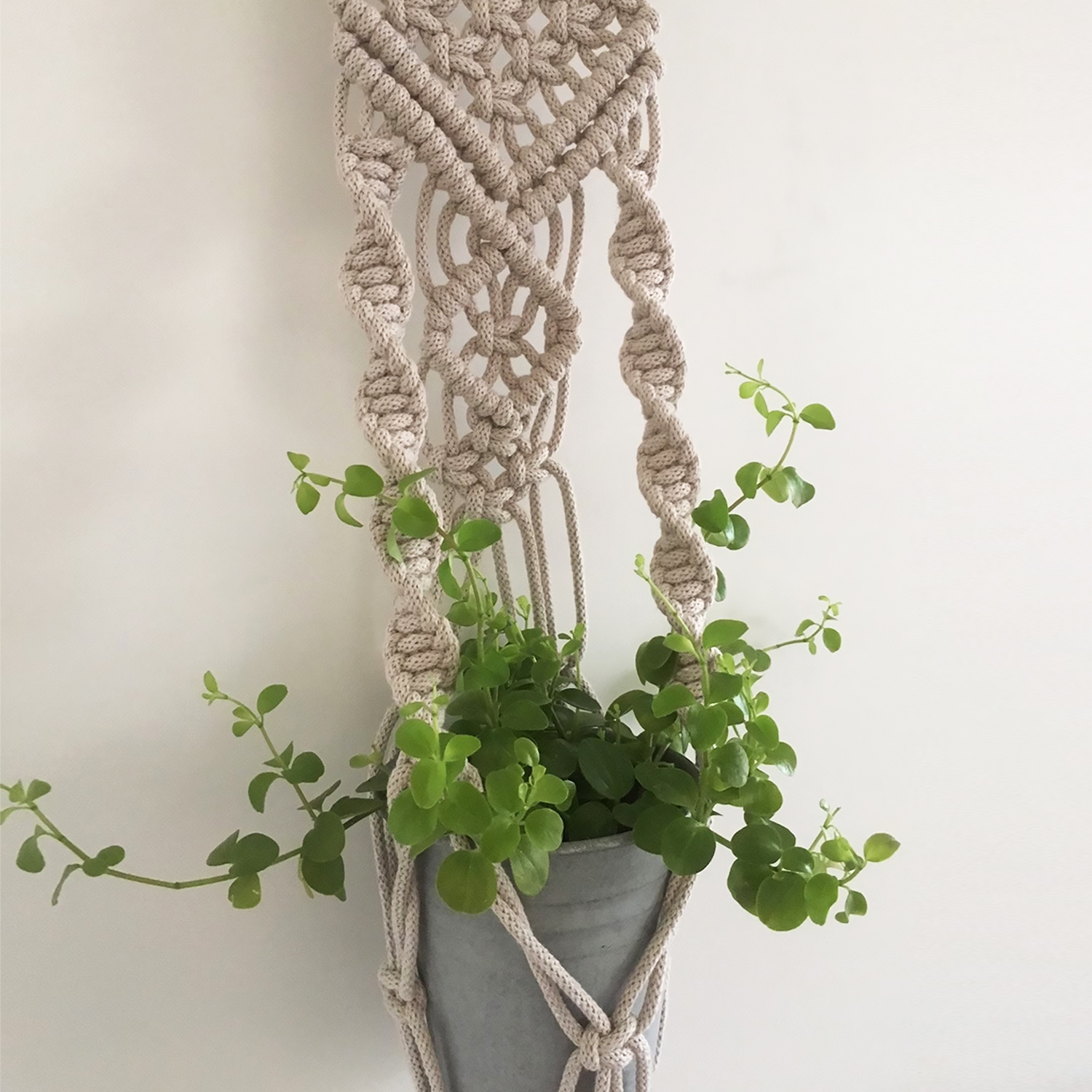 Macrame Plant Hanging DIY Kit